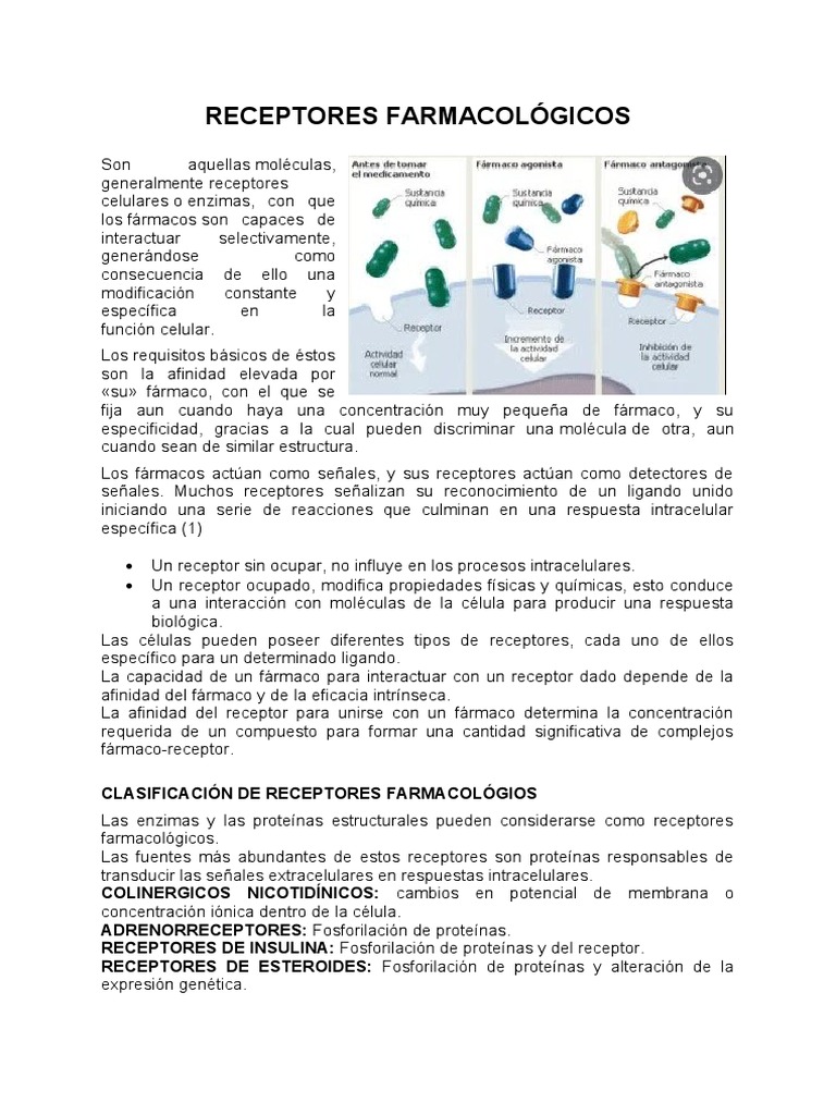 Tipos de Receptores Farmacológicos | PDF | Bioquímica | Química