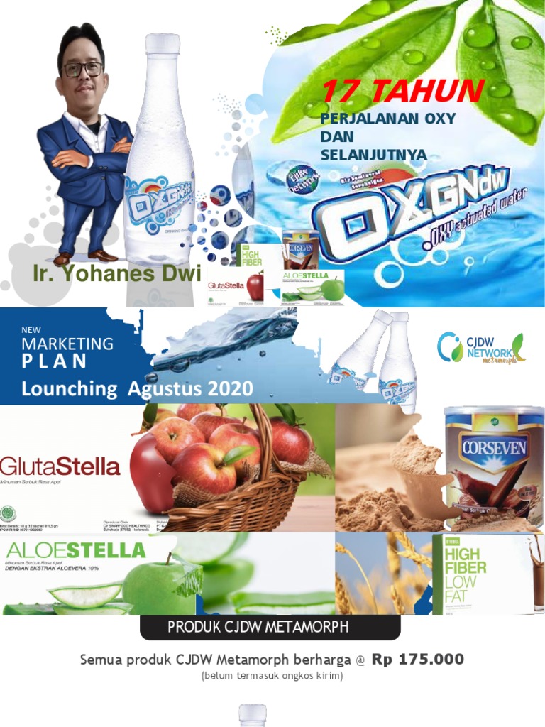 Marketing Plan OXY 1 | PDF