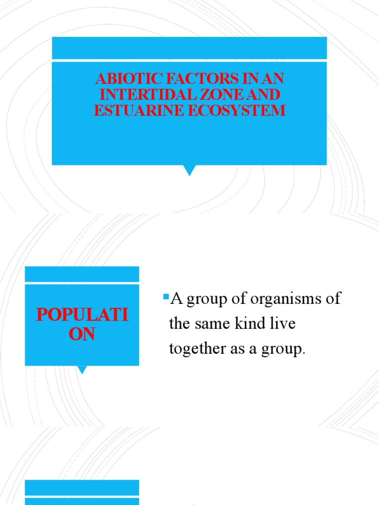 Abiotic Factors in An Intertidal Zone and Estuarine | PDF