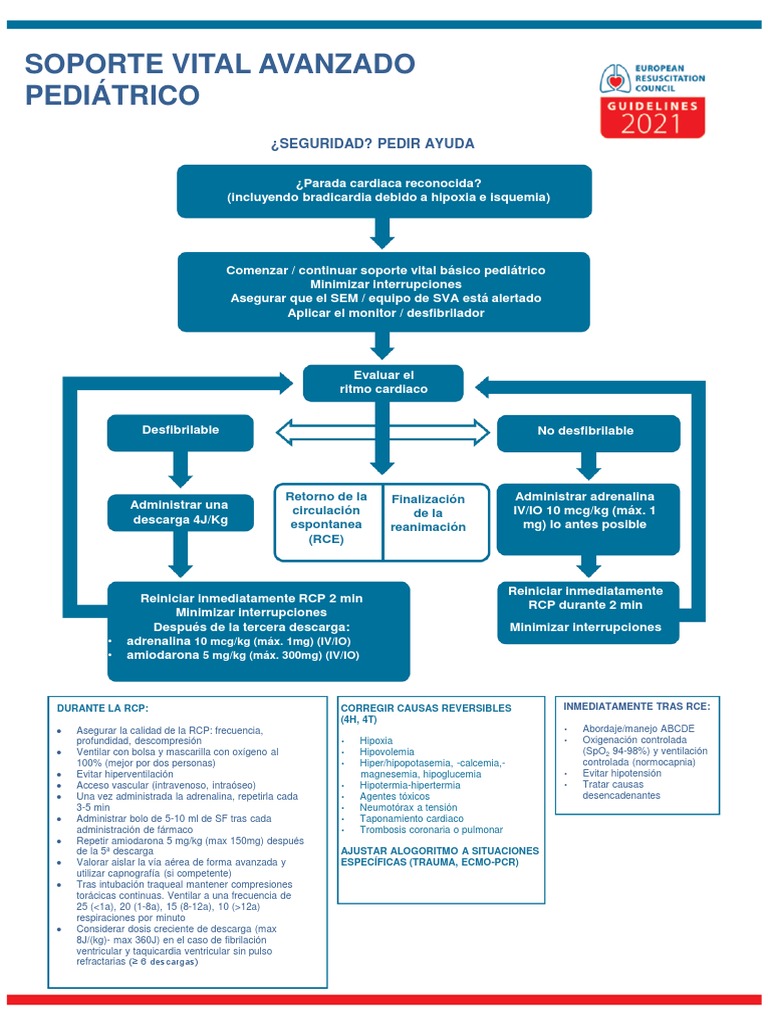 Soporte Vital Avanzado Pediátrico: ¿Seguridad? Pedir Ayuda | PDF | Reanimación cardiopulmonar ...