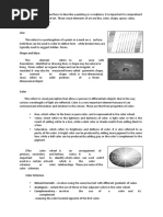 Detailed Lesson Plan About Interjection | PDF | Lesson Plan | Learning