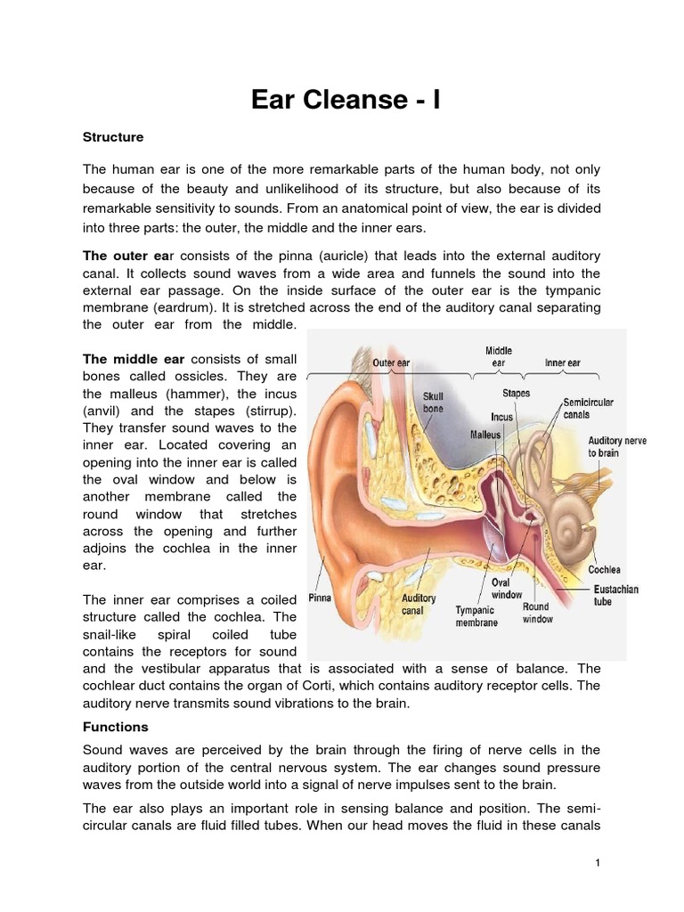 6 Ear Cleanse | PDF | Auditory System | Hearing Loss