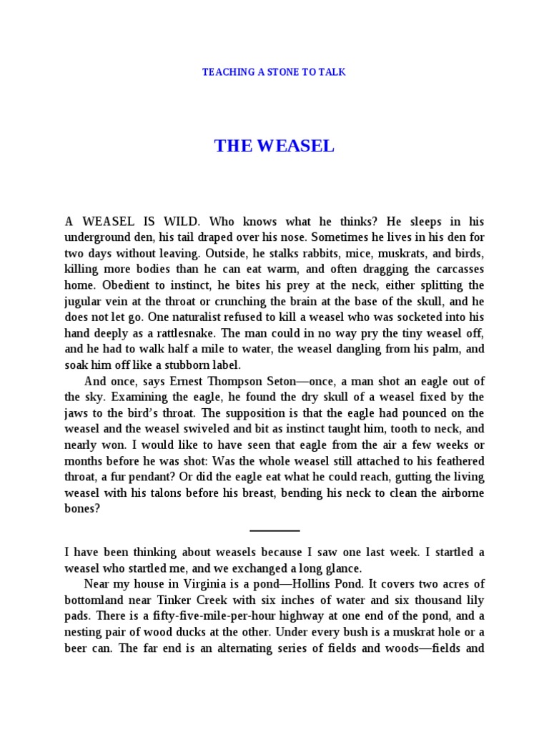 Annie Dillard - The Weasel | PDF