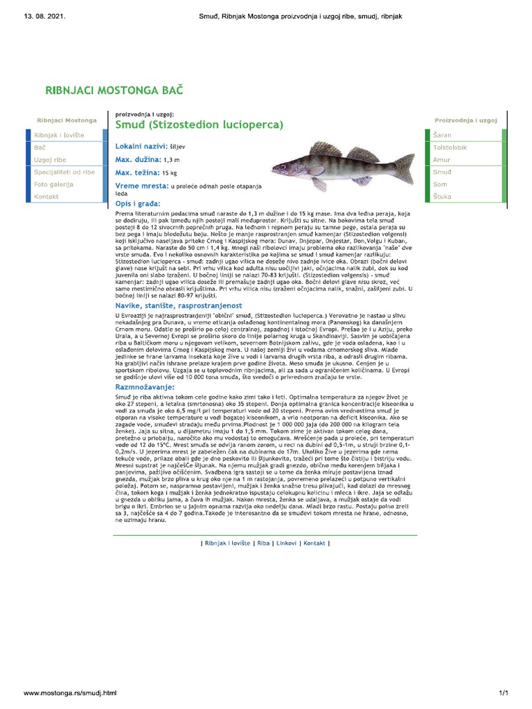 Smuđ, Ribnjak Mostonga Proizvodnja I Uzgoj Ribe, Smudj, Ribnjak | PDF