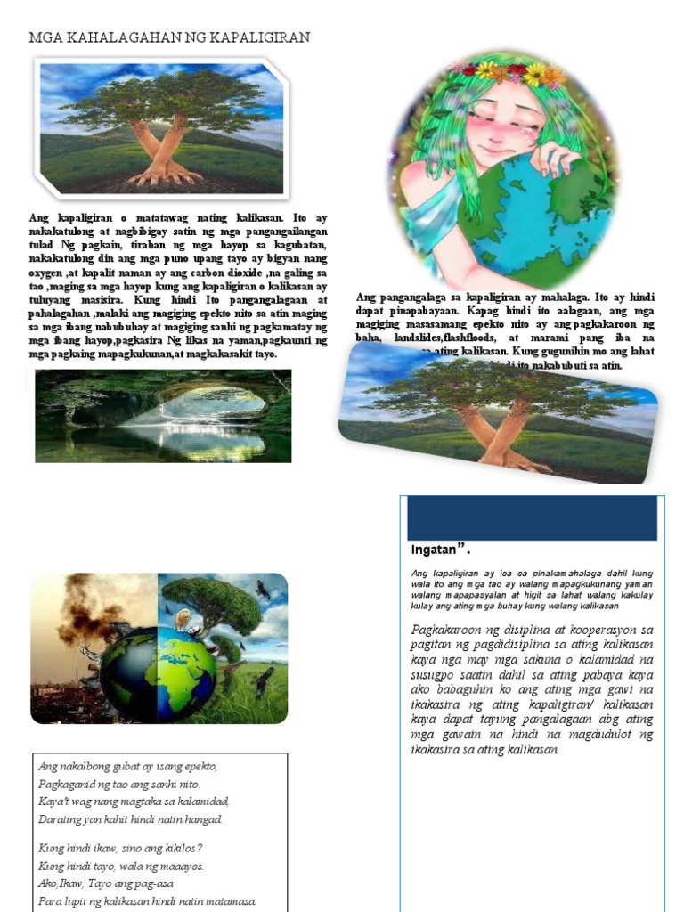 Mga Kahalagahan NG Kapaligiran | PDF