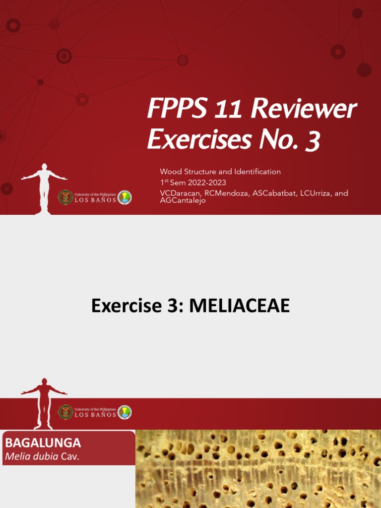 FPPS 11 Lab - Exer 3 Reviewer | PDF | Science & Mathematics