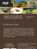 Key Terms In Animal Science Pdf Sheep Horse Breeding