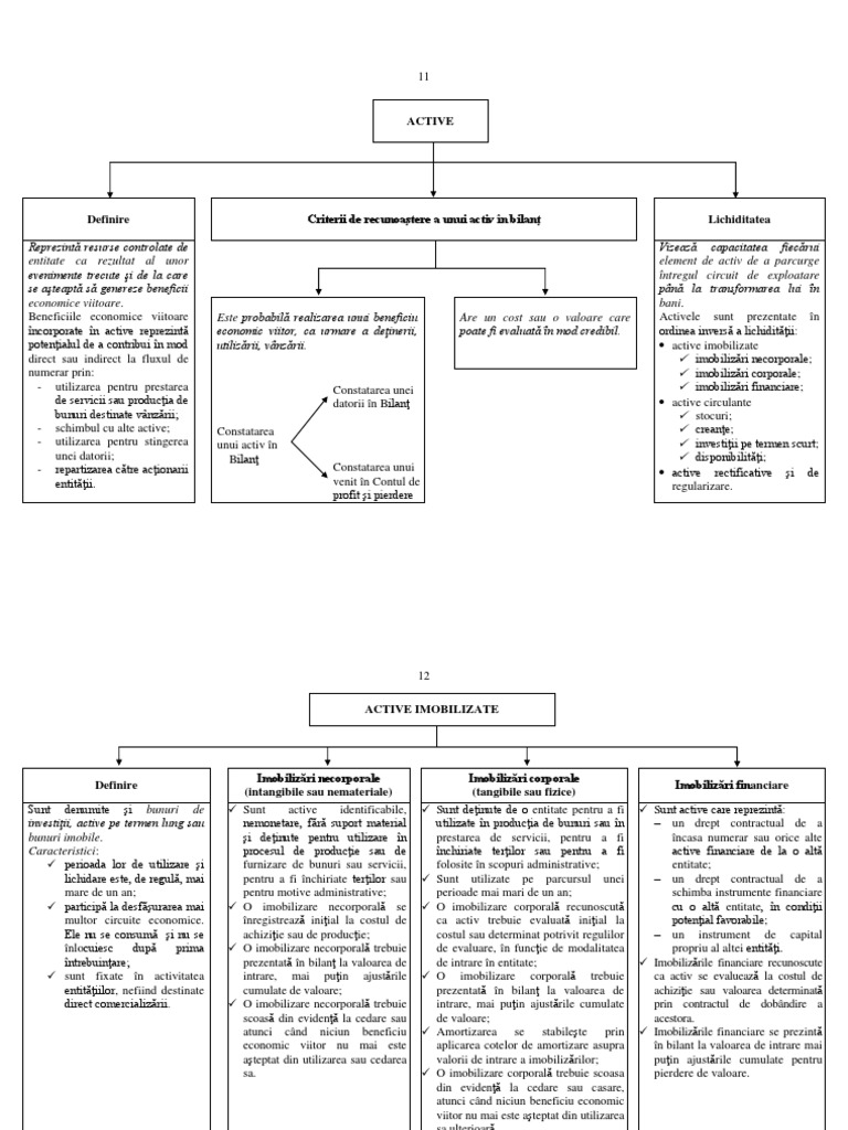 Scheme Contabilitate | PDF