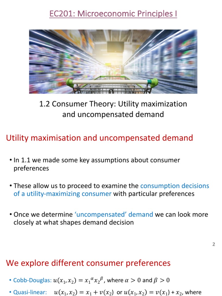 Consumer Utility Maximization Explained | PDF | Demand | Utility