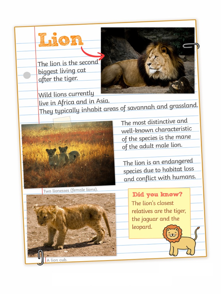 safari-animal-fact-file | PDF