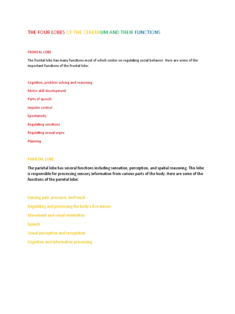 The Four Lobes of The Cerebrum and Their Functions | PDF