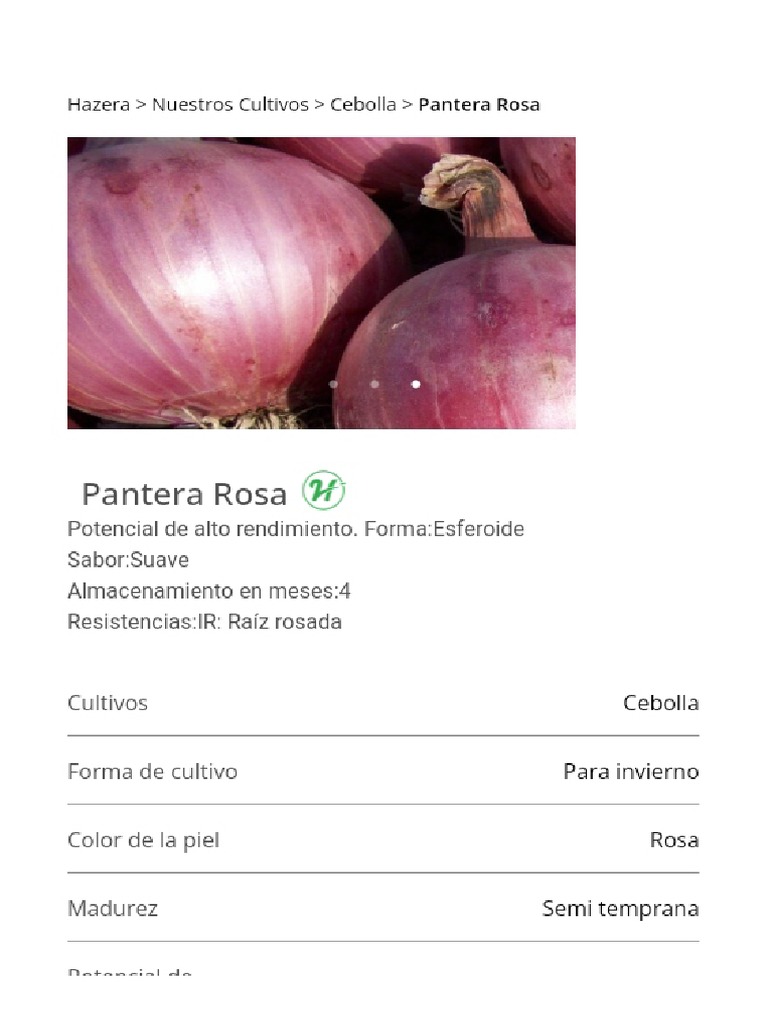 Pantera Rosa | PDF