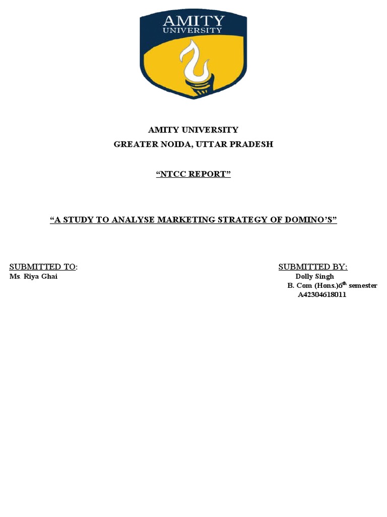 Dominos Marketing Strategy | PDF | Domino's Pizza | Marketing