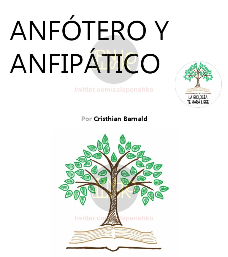 Anfotero y Anfipático | PDF