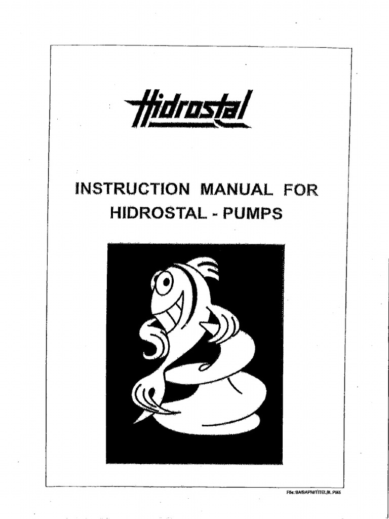 Hidrostal - Degassing Tank | PDF
