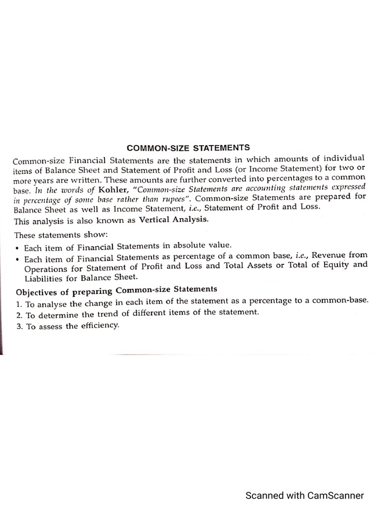 Common Size Statements | PDF