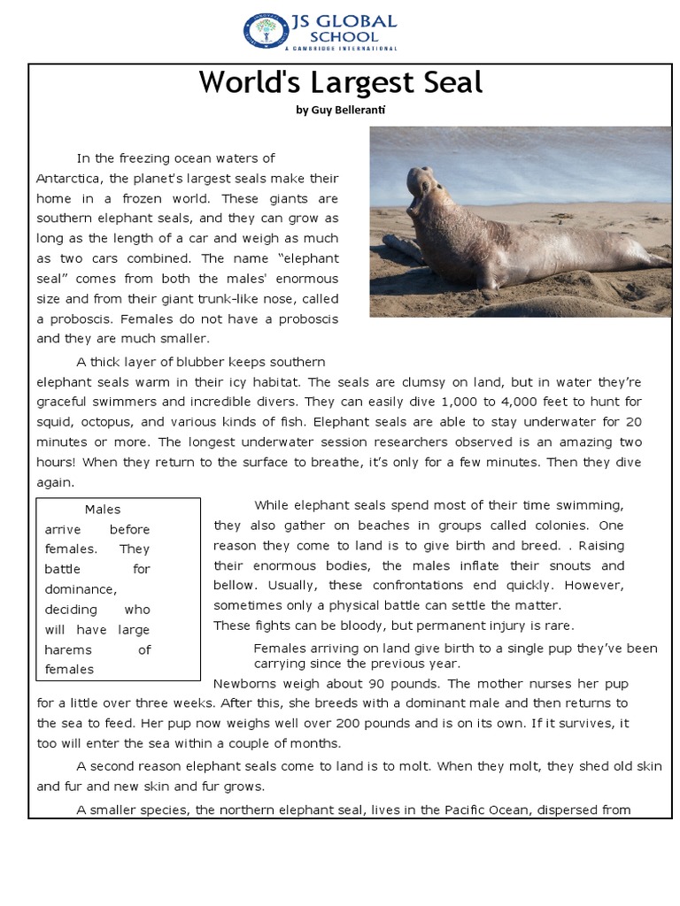 Reading Comprehension G6 | PDF