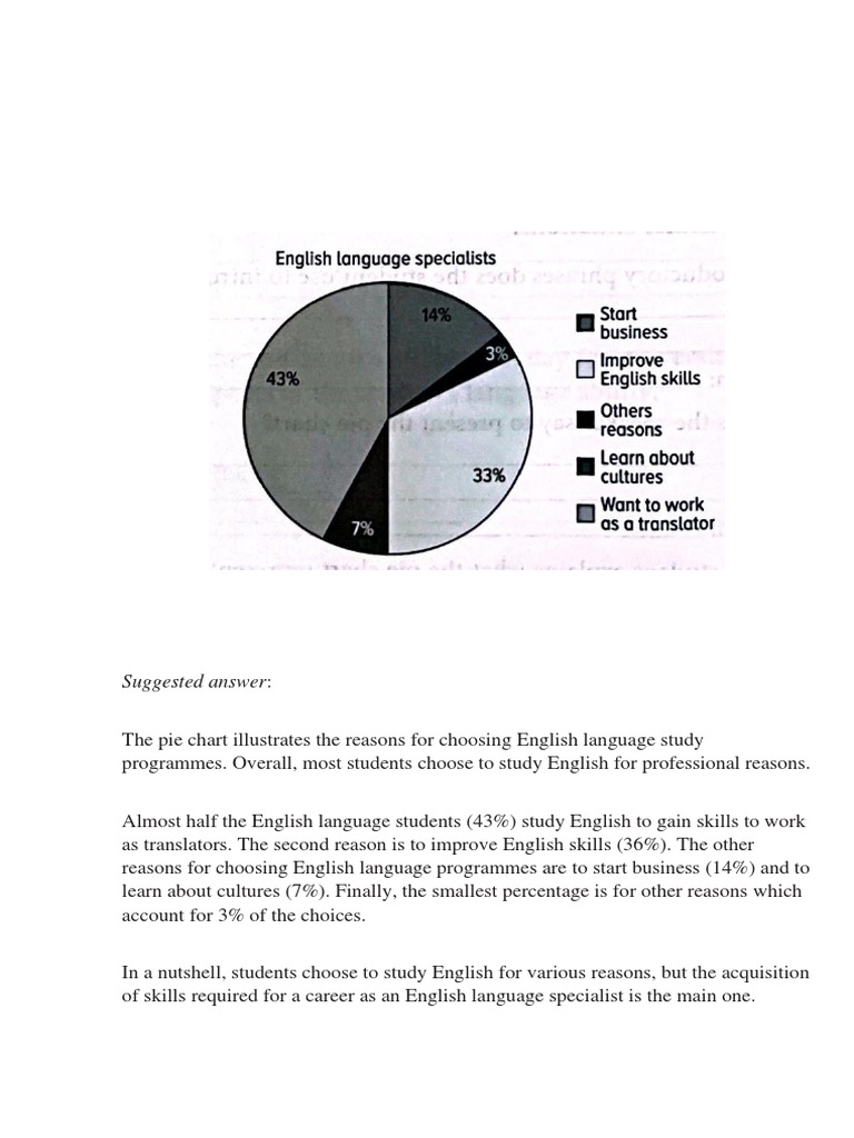 Pie Chart (Example) | PDF