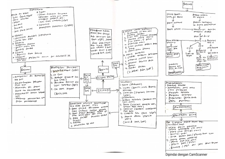 Mind Map Kejang Demam - Robi Muh F - 221FK04052 | PDF