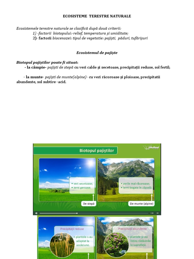 3..ecosistemul de Pajiște | PDF
