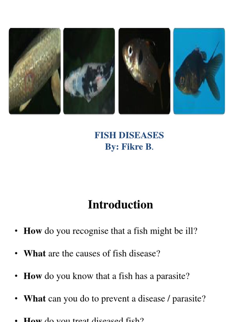 Lecture Note Fish - Diseases BVSC | PDF | Dose (Biochemistry) | Chemistry