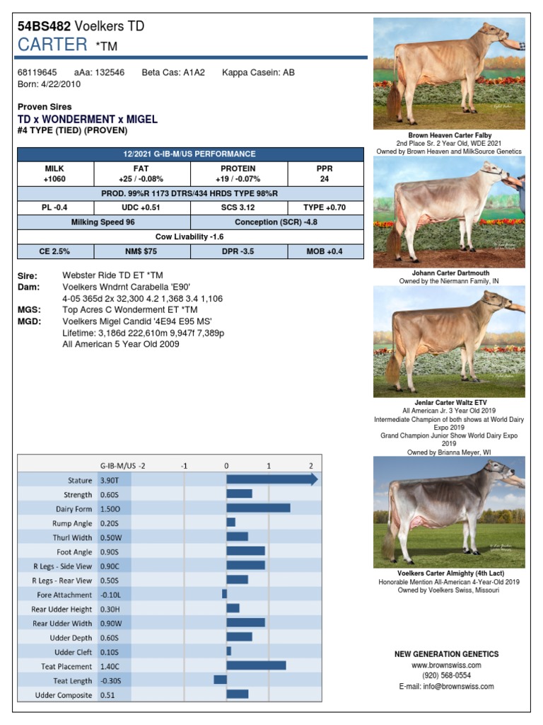 54BS482 Carter | PDF | Bovines | Domesticated Animals