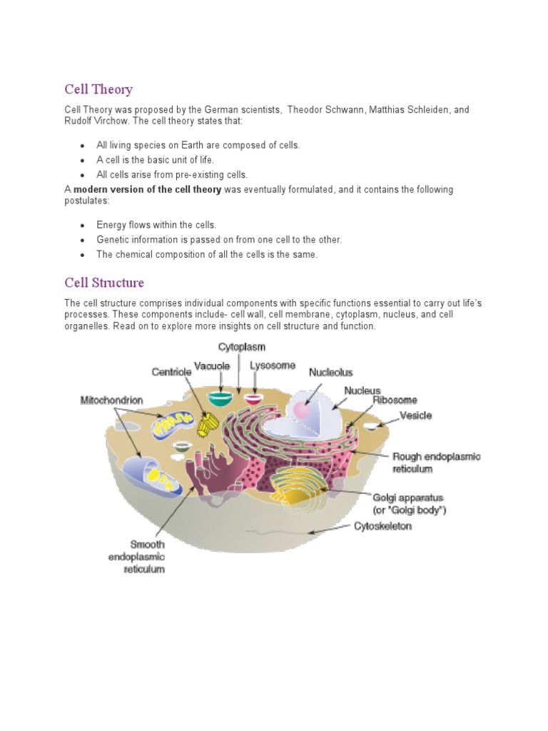 An In-Depth Look at Cell Structure and Function | PDF | Cell (Biology ...