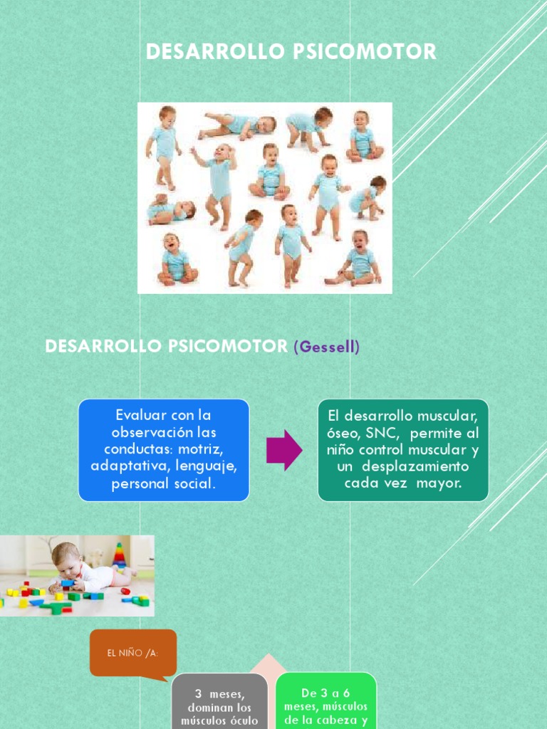 Desarrollo Psicomotor | Descargar gratis PDF | Ciencia cognitiva