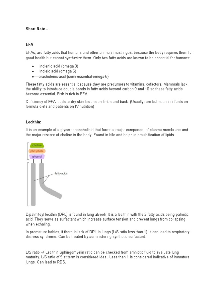 Lipids Questions For 1st Year Mbbs | PDF