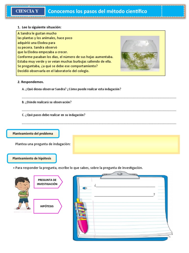 Pasos del Método Científico para Niños | PDF | Método científico ...