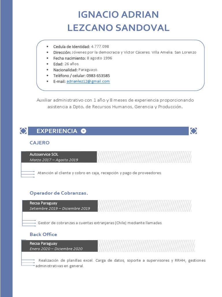Curriculum Vitae - Ignacio Lezcano - S | PDF | Business | Economias