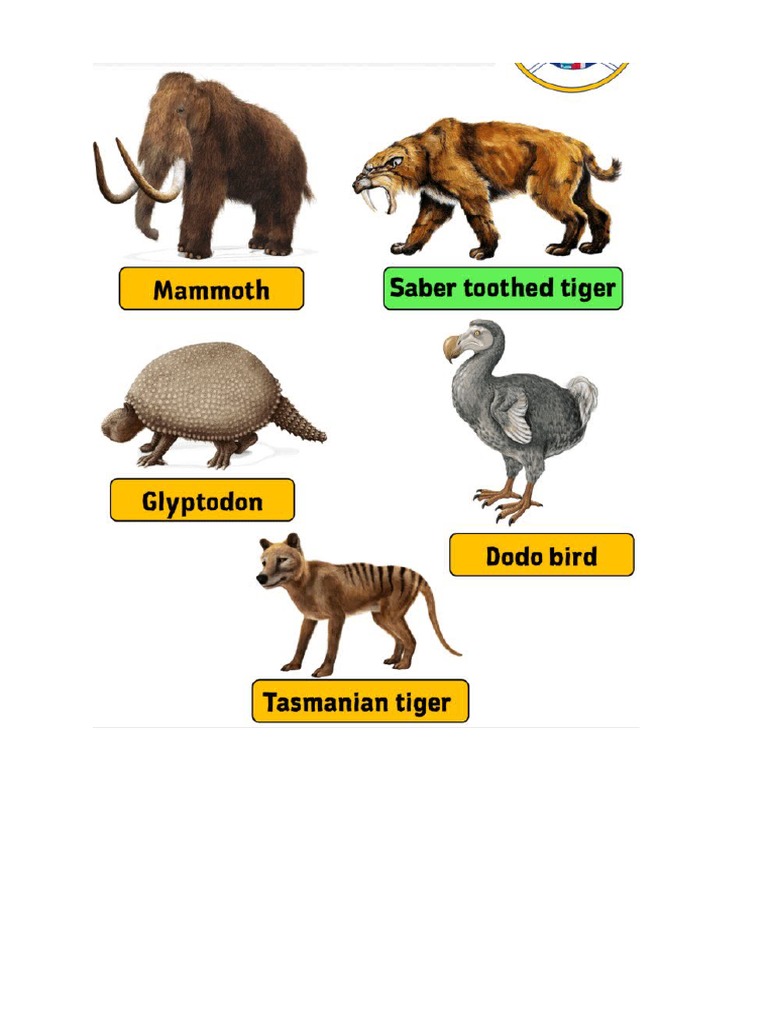 Extinct Animals | PDF