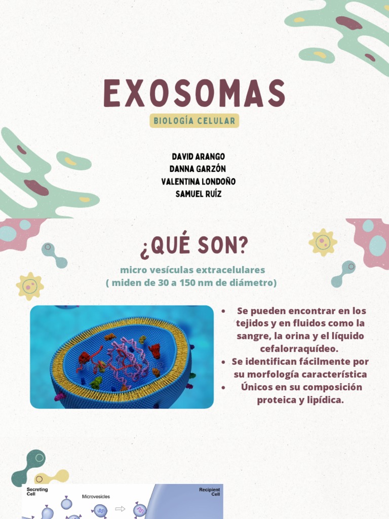EXOSOMAS | PDF | Bicapa lipídica | Biología Celular)