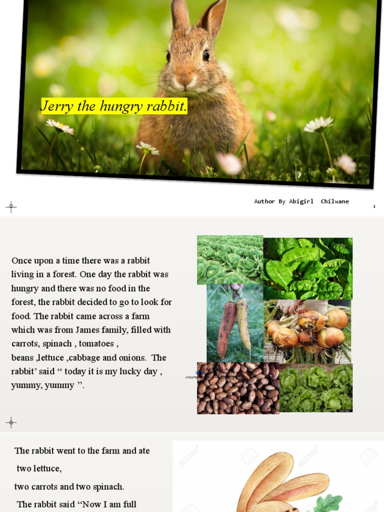 Final Draft Story Book For Grade R | PDF | Agriculture | Crops