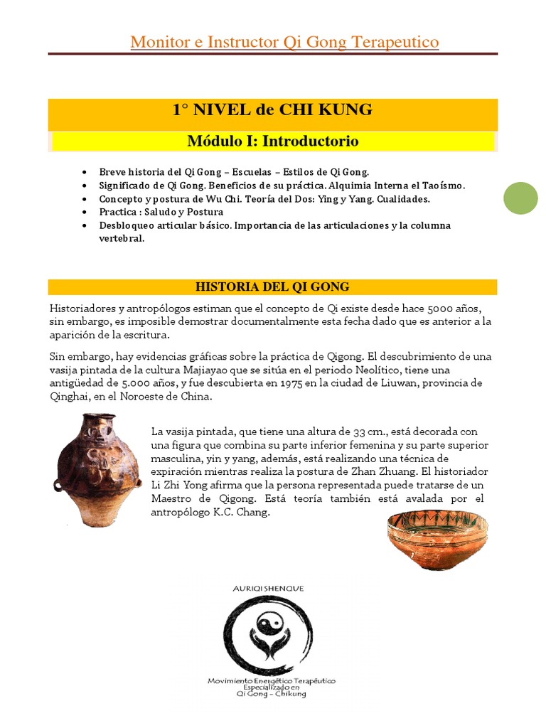 1° Nivel de Chi Kung: Monitor e Instructor Qi Gong Terapeutico | Descargar gratis PDF | Qigong | Qi
