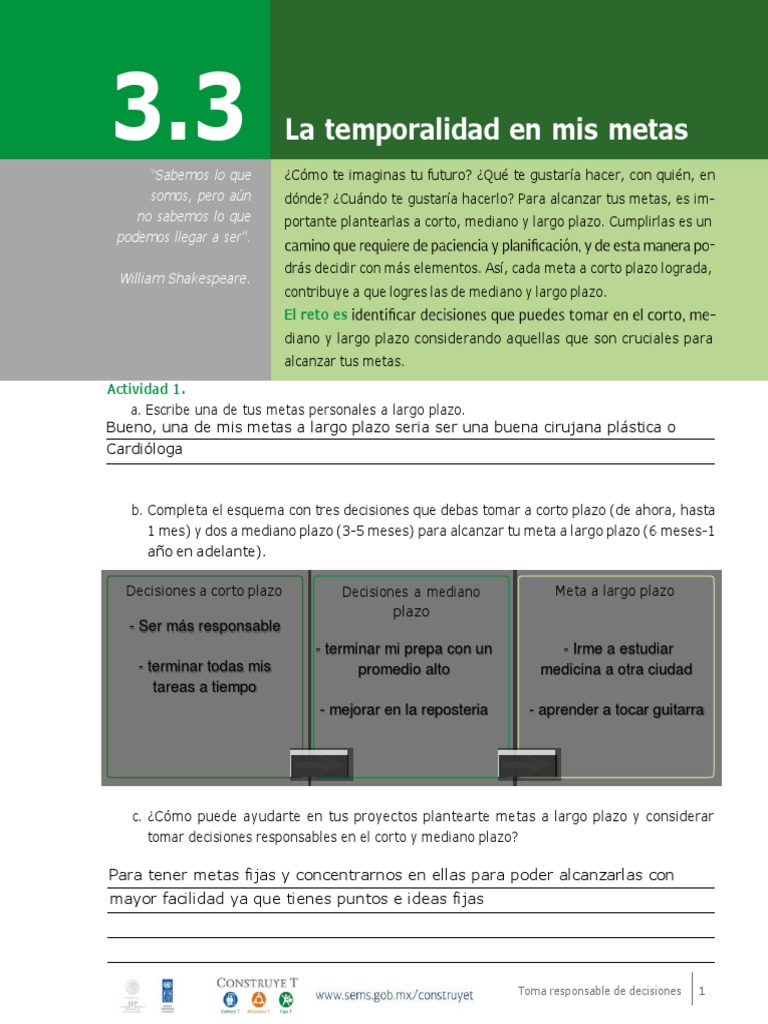 La Temporalidad en Mis Metas | PDF
