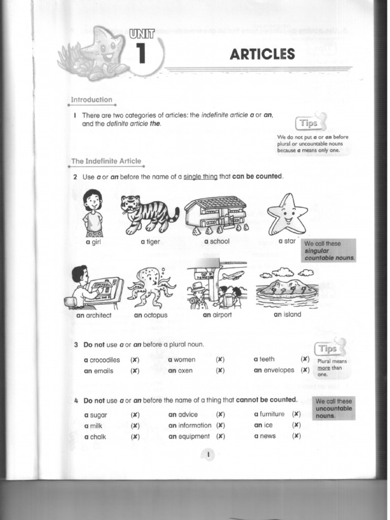 Articles Grammar | PDF