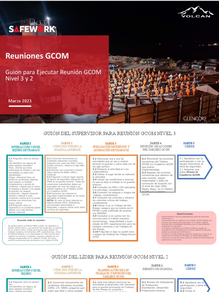 Guía para Reuniones GCOM Nivel 2 y 3 | PDF | Ira | Sicología