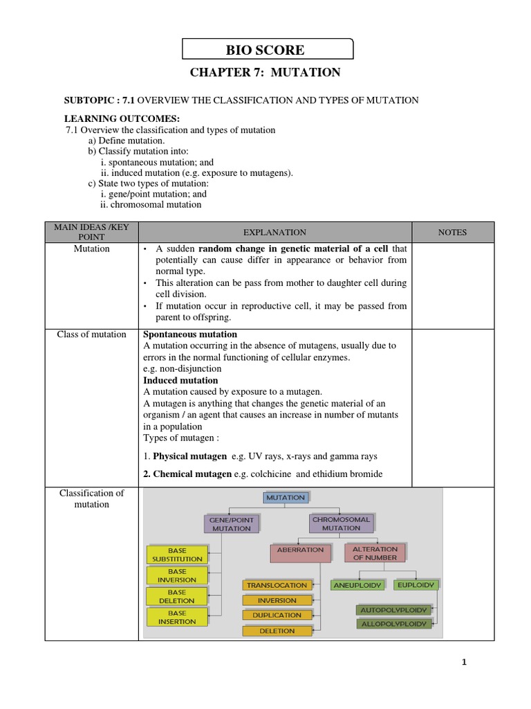 Bio Score: Chapter 7: Mutation | PDF | Point Mutation | Ploidy