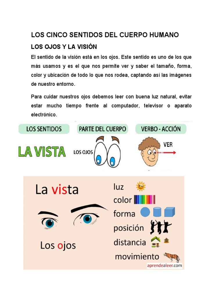 Los Cinco Sentidos Del Cuerpo Humano | PDF