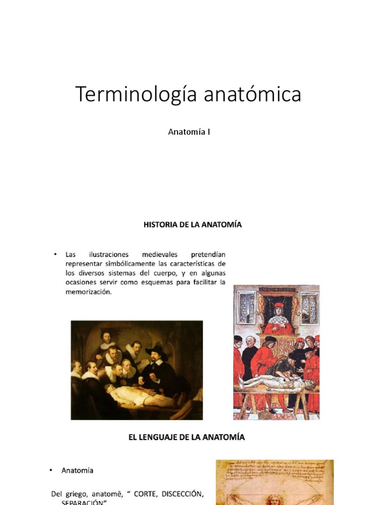 Terminología Anatómica | PDF