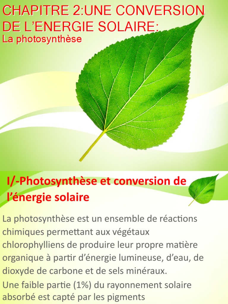 la photosynthèse | PDF