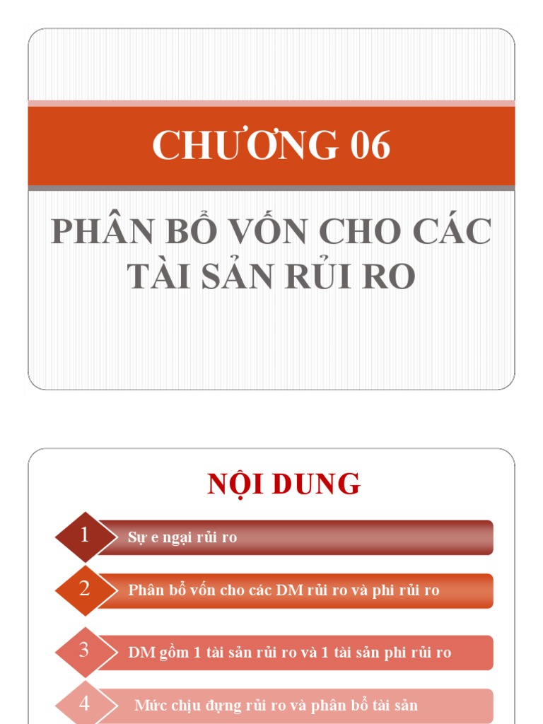 C06 - Capital Allocation To Risky Assets | PDF