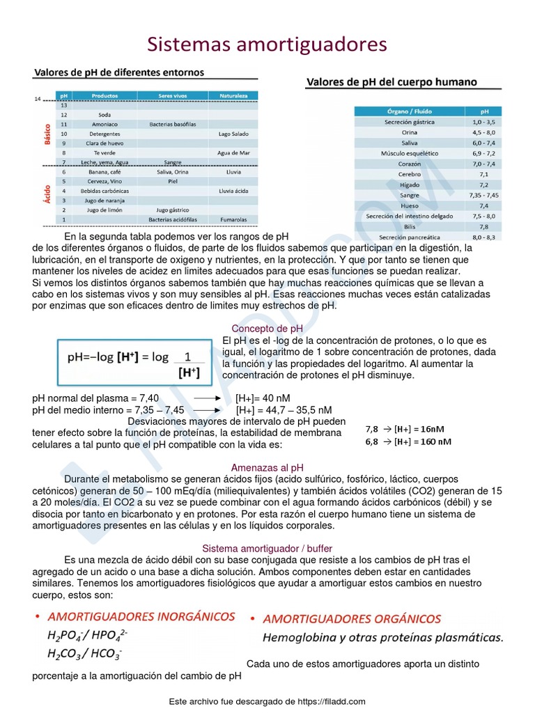 Amortiguadores | PDF | Solución tampón | Constante de disociación ácida