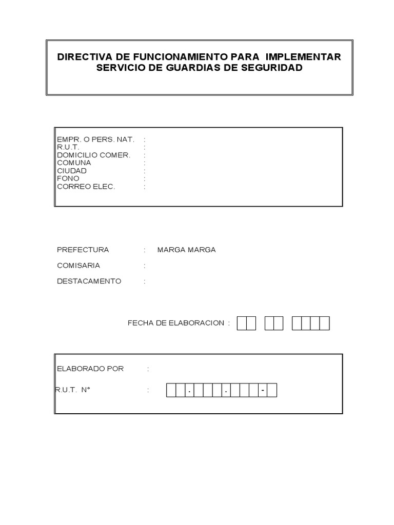 Formato Actualizado de Directiva de Funcionamiento para Intalación | PDF
