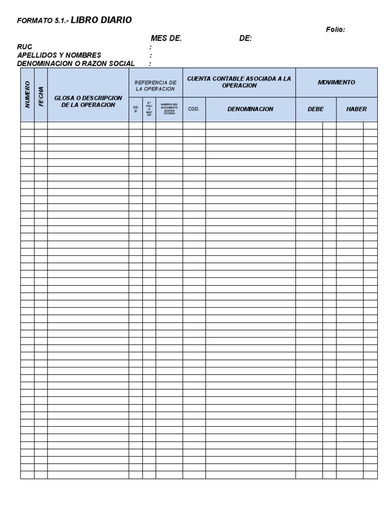 Formato 5 - Libro Diario | PDF