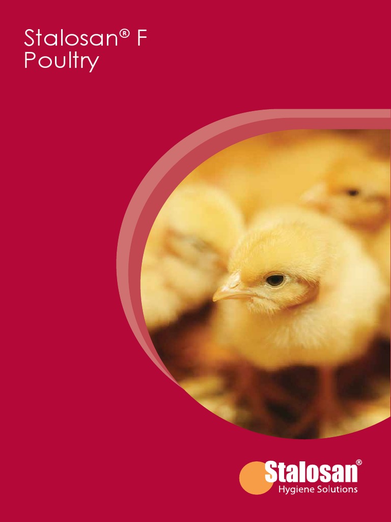 Stalosan para Aves Poultry - POWDER - GB - Calci - WEB | PDF | Poultry ...