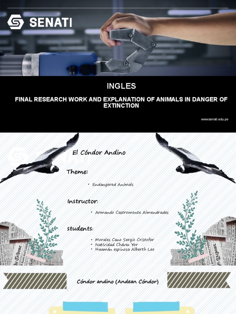 Ingles: Final Research Work and Explanation of Animals in Danger of Extinction | PDF | Organisms ...