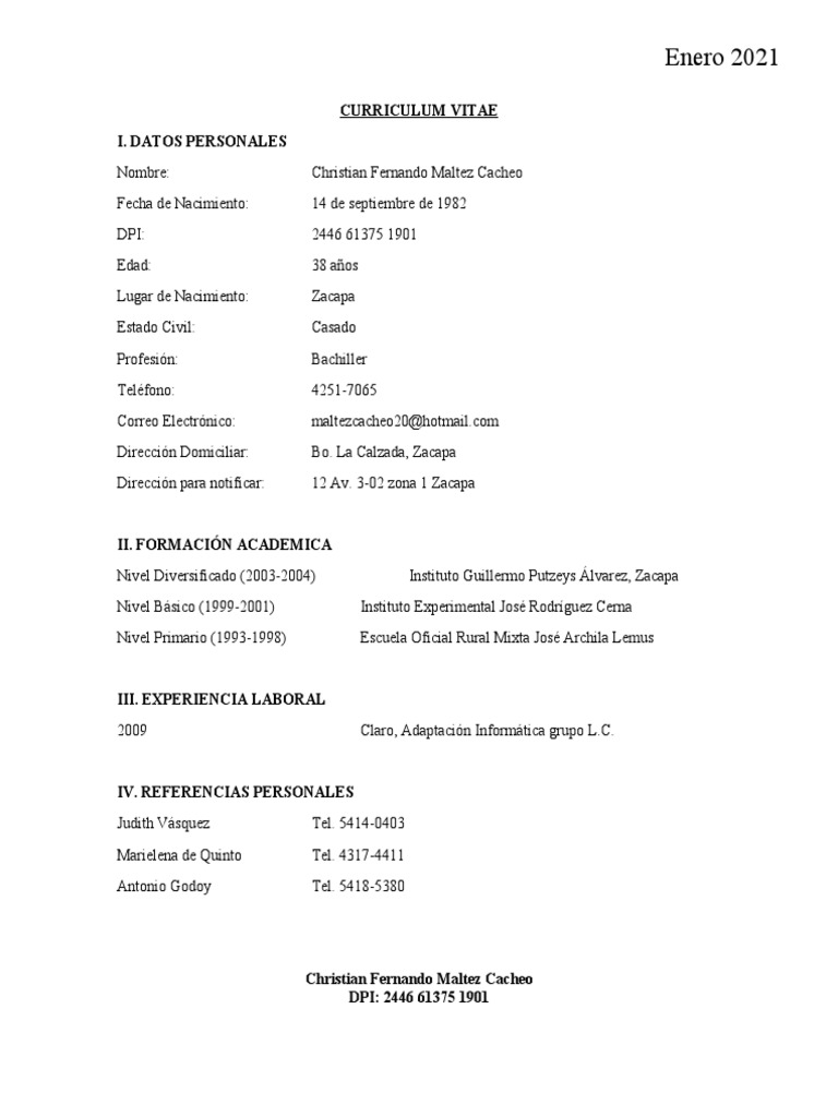 Curriculum Vitae Cristian | PDF