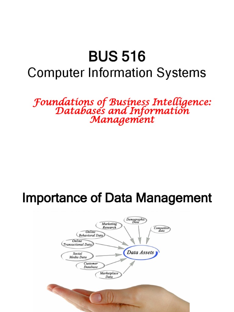 BUS 516 - Chapter 6 - Foundations of Business Intelligence | PDF ...